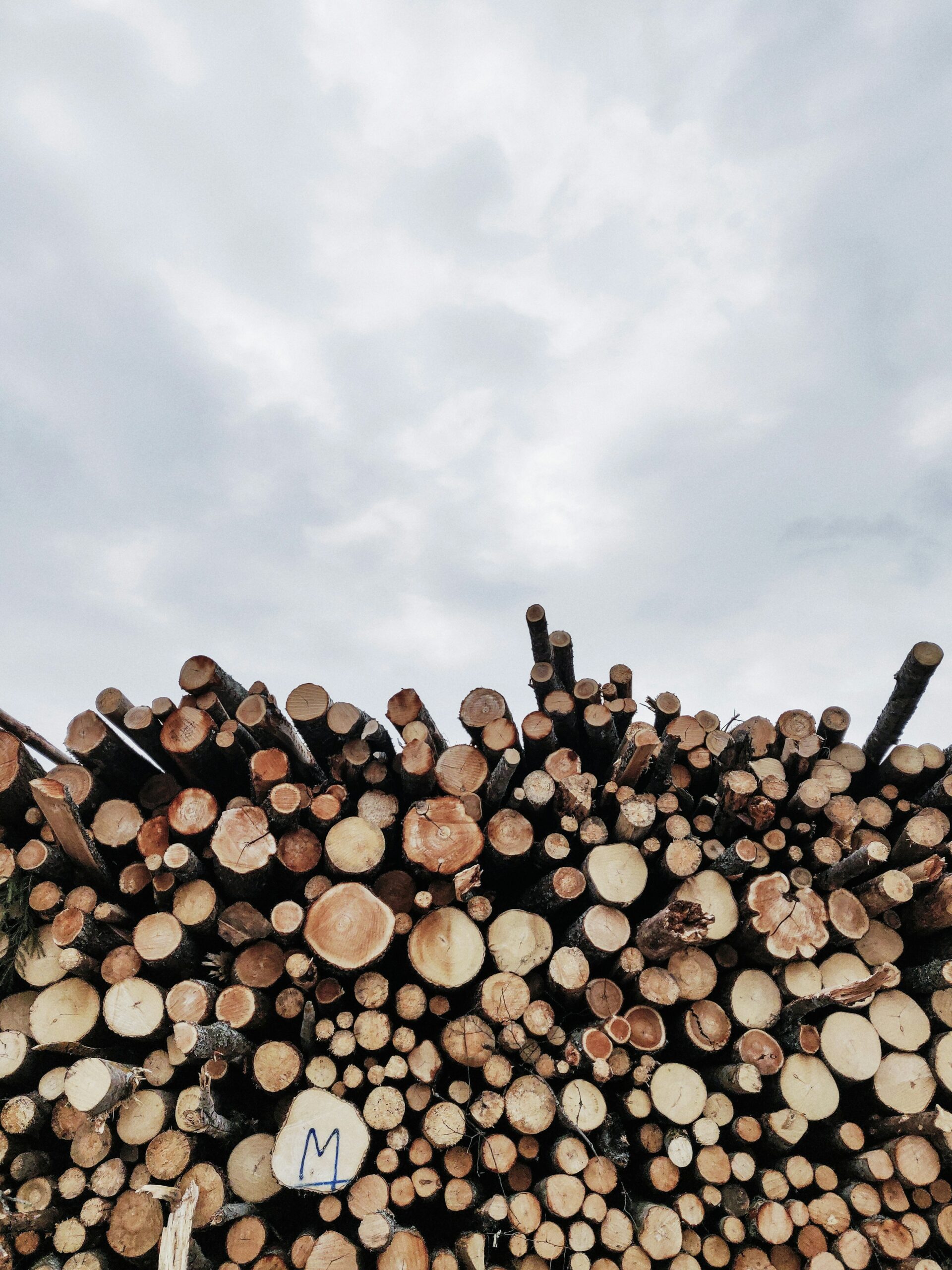 What Is Python Logging? A Complete Introduction - Stackify